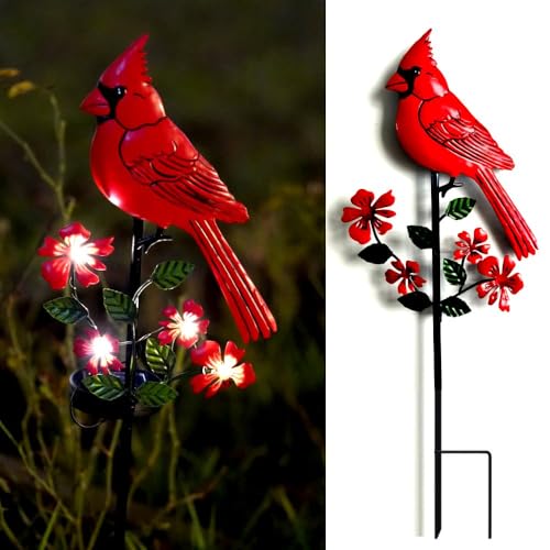 Cardinal Lawn & Garden Center: Transform Your Yard with Stunning Solar ...