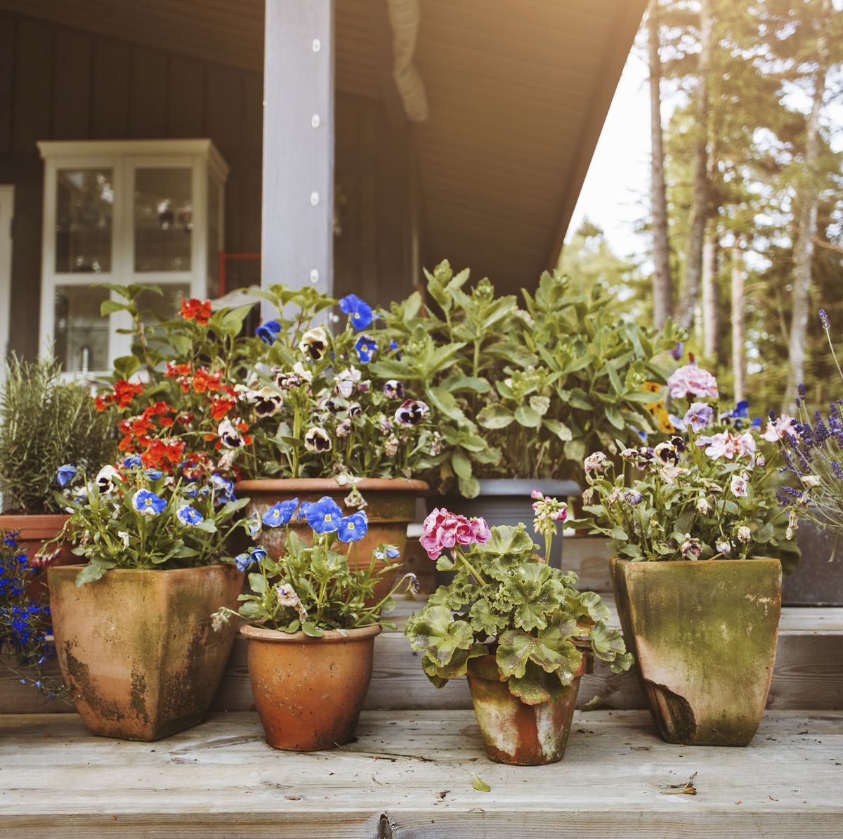 How to Arrange Plant Pots in the Garden: Expert Tips - Garden