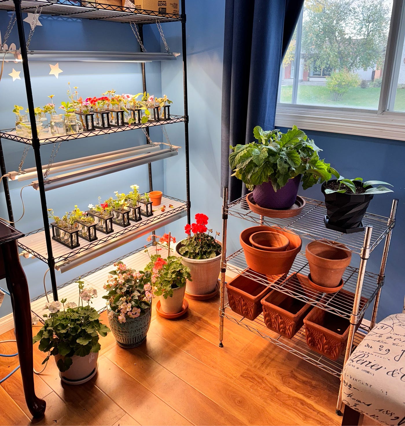 How to Build Indoor Garden Grow Room: Expert Guide - Garden