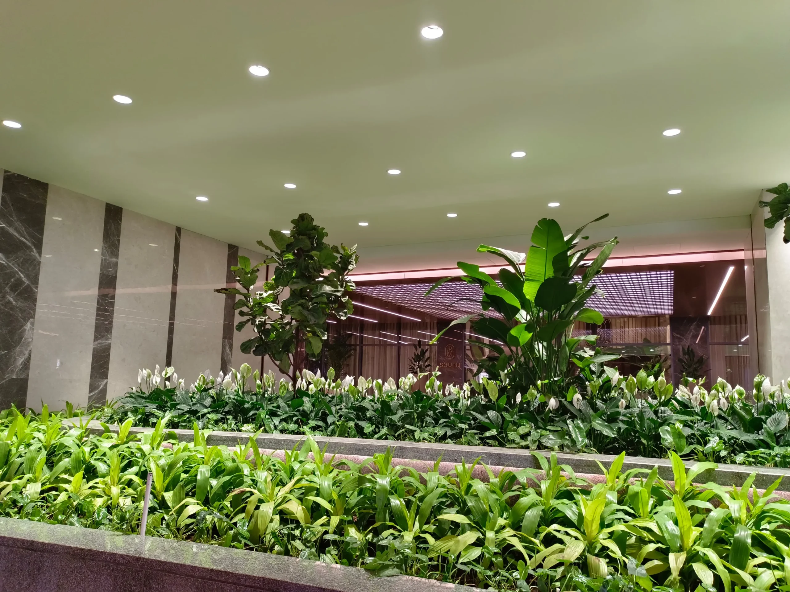 How to Create an Indoor Wall Garden: Transform Your Space - Garden