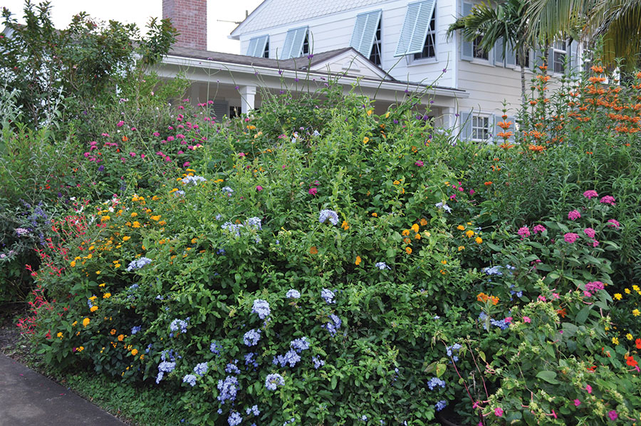 How to Design a Backyard Cutting Garden: Expert Tips - Garden
