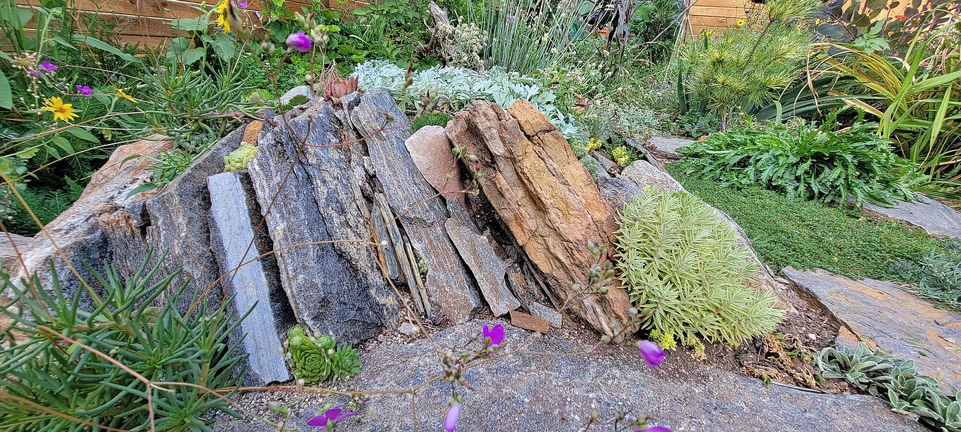 How to Design a Crevice Garden: Expert Tips - Garden
