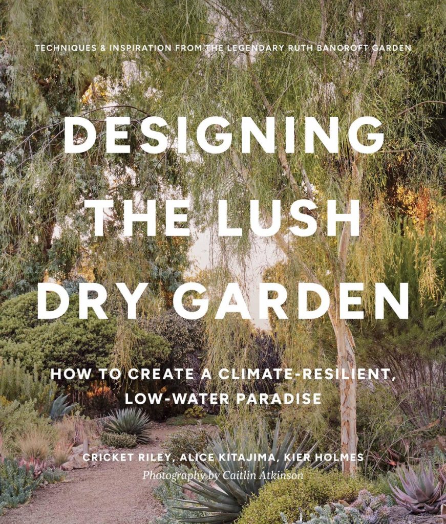 How to Design a Dry Garden: Expert Tips & Techniques - Garden