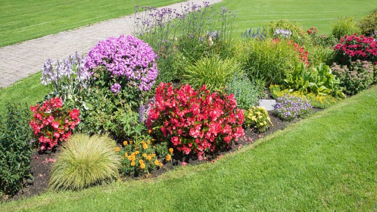 How to Design a Full Sun Flower Garden: Expert Tips - Garden