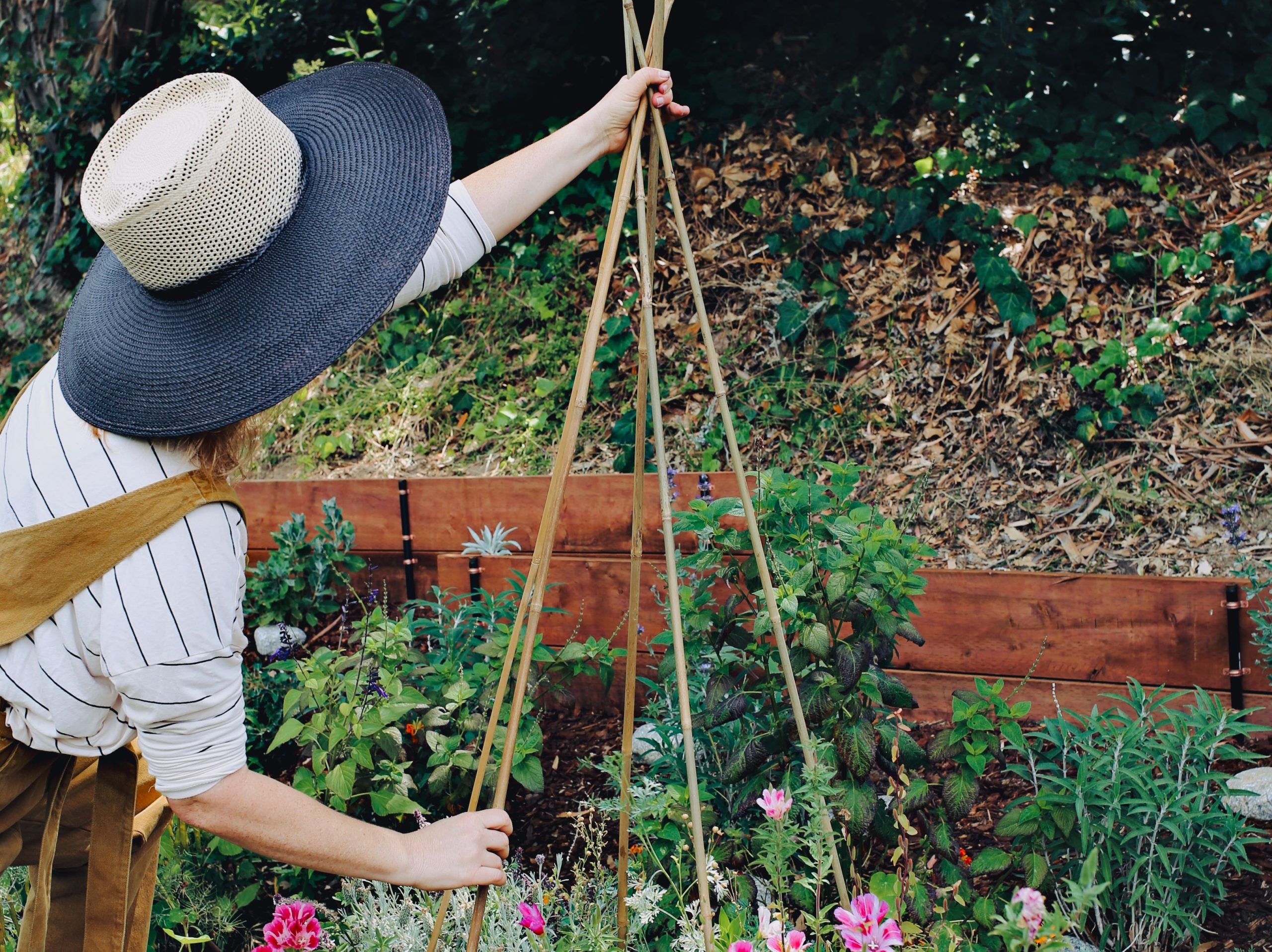How to Design a Garden Trellis: Expert Tips & Tricks - Garden