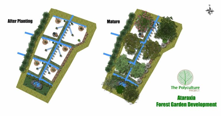 How to Design an Orchard Garden: Expert Tips - Garden