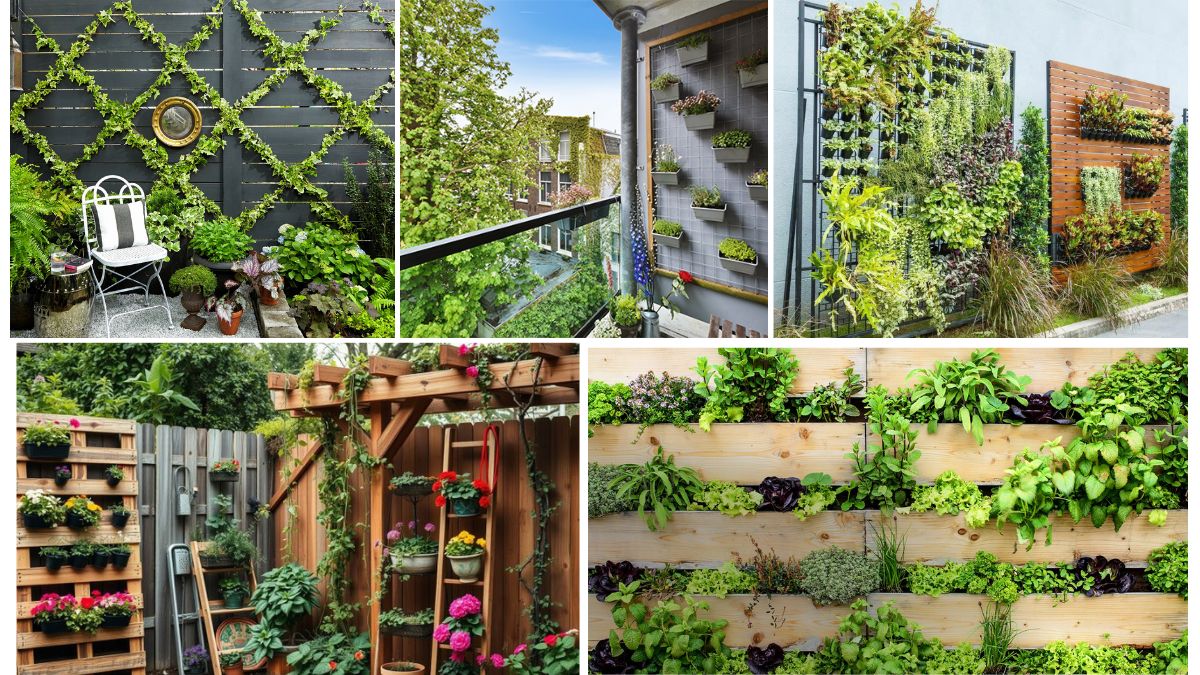 How to Design Vertical Garden: Transform Your Space - Garden