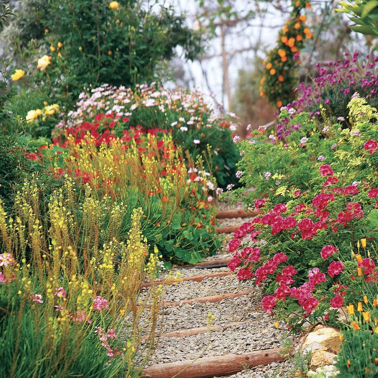 How to Group Perennials for Garden Design: Expert Tips - Garden
