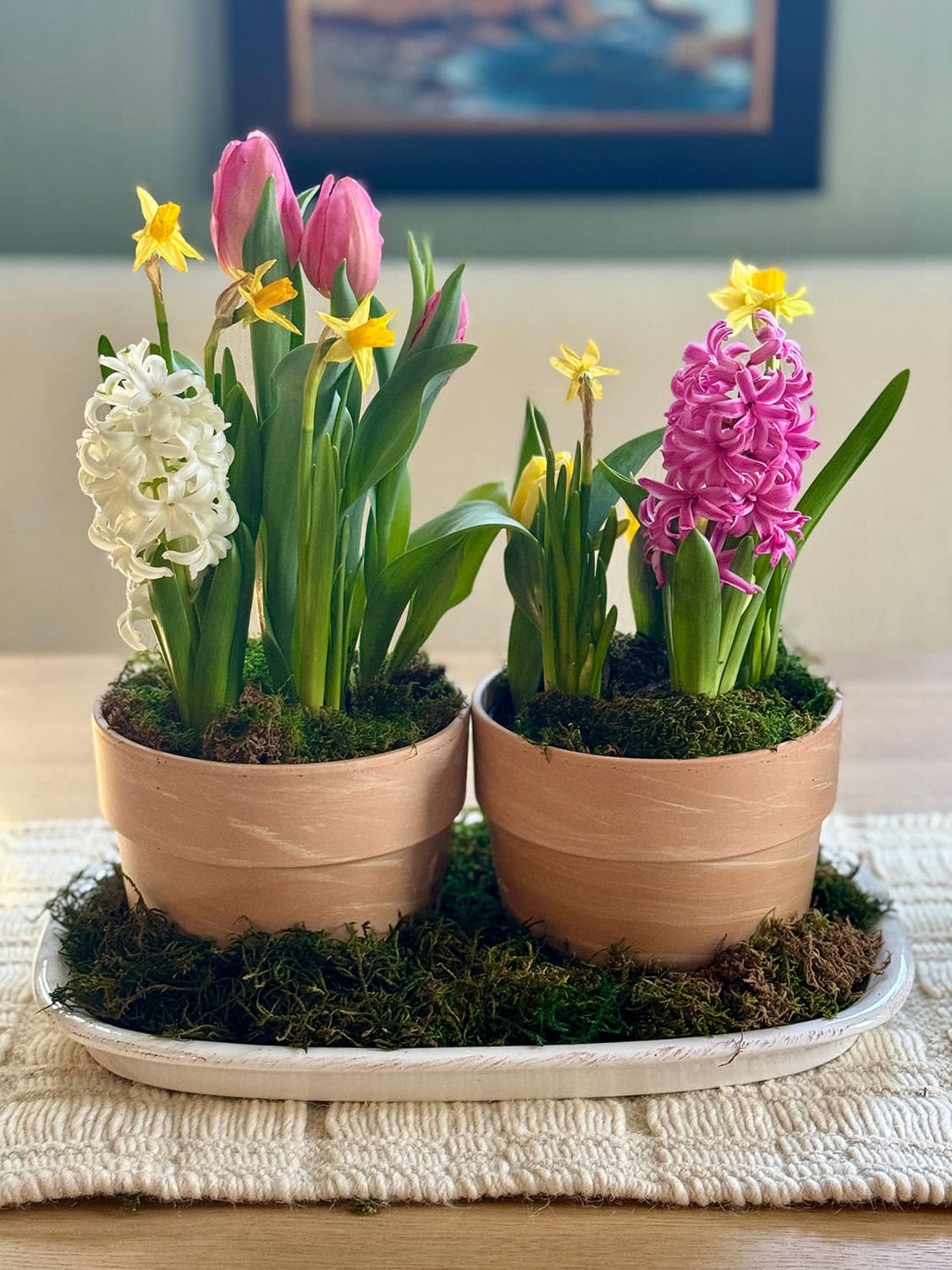 How to Grow a Spring Bulb Garden Indoors: Expert Tips - Garden