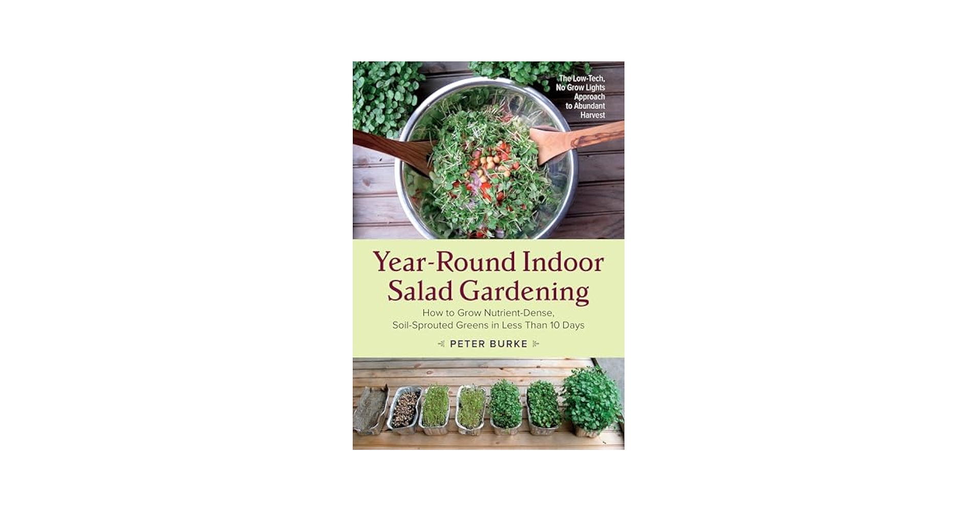 How to Grow an Indoor Salad Garden: Ultimate Guide - Garden