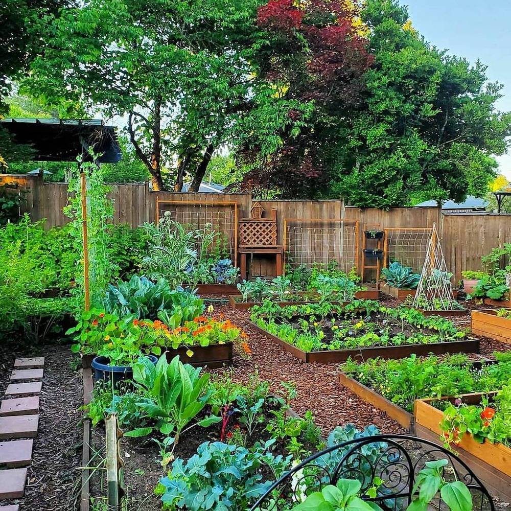 How to Maintain Garden Plants: Expert Tips for Thriving Greens - Garden
