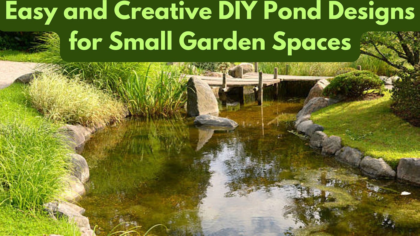 How to Make Garden Pond Designs: Creative Ideas - Garden