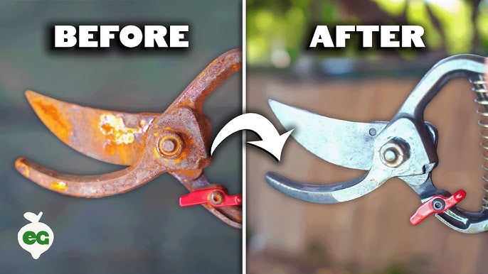 How to Protect Wooden Handles on Garden Tools: Expert Tips - Garden