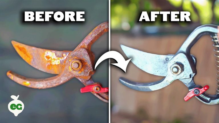 How to Remove Rust off Garden Tools: Easy DIY Tips - Garden