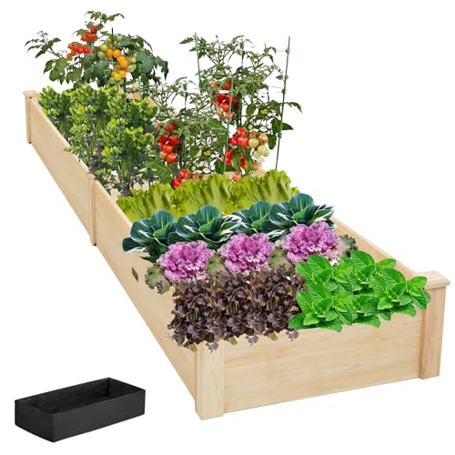 Natural Raised Garden Beds: Elevate Your Outdoor Gardening Experience ...