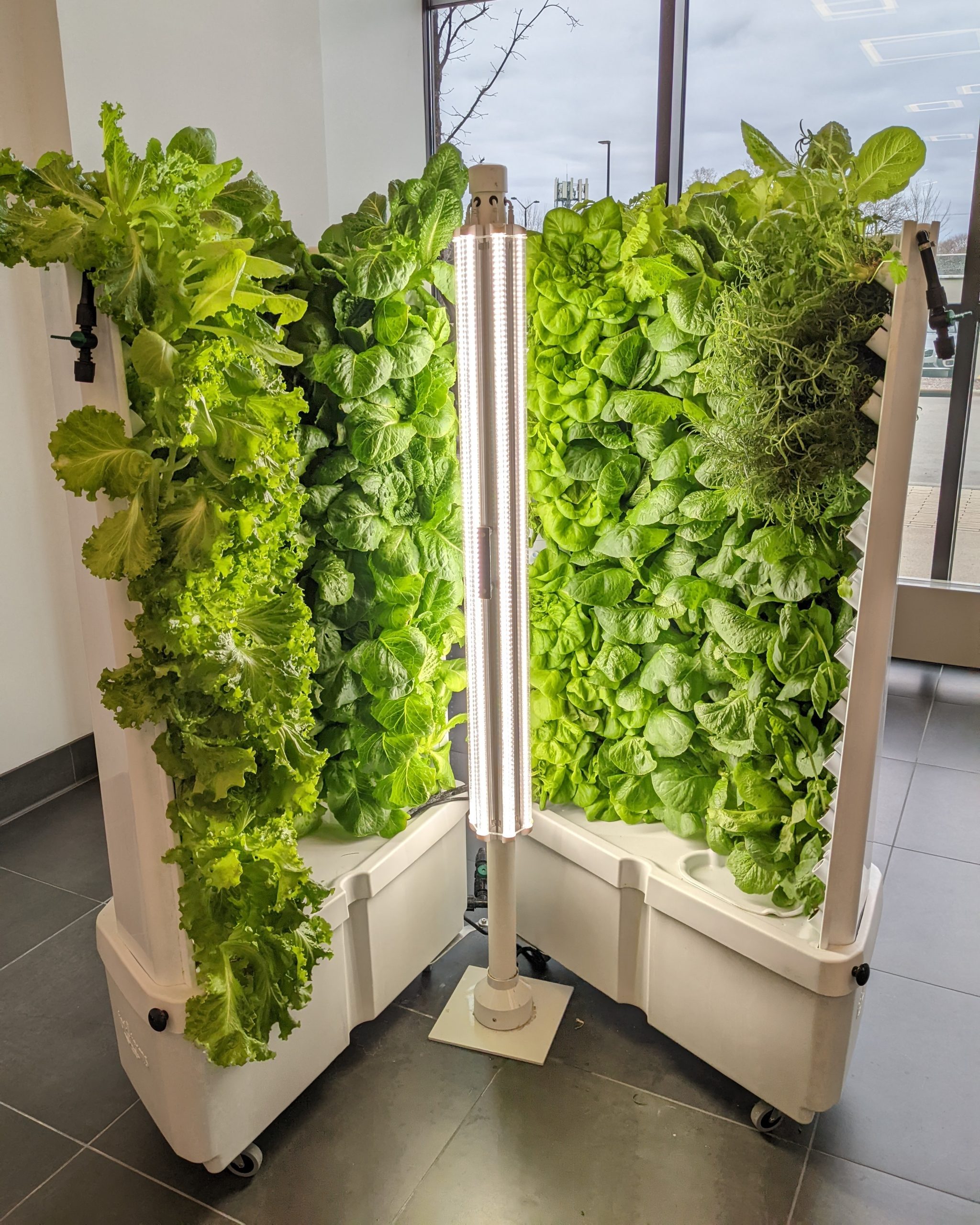 What in a Large Indoor Garden Called: Discover the Oasis - Garden