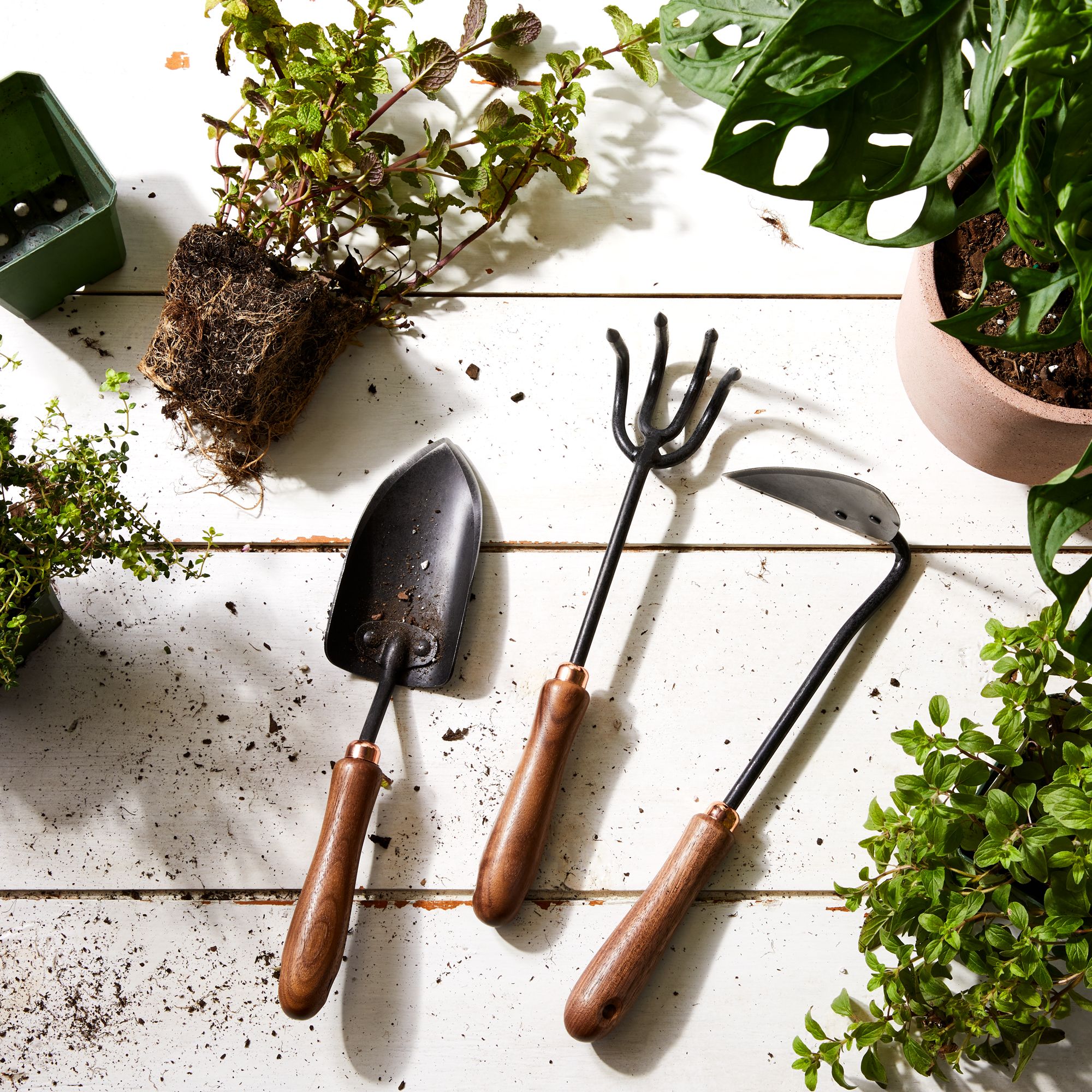 What Tools Do You Need to Grow a Garden: Essential Gear - Garden