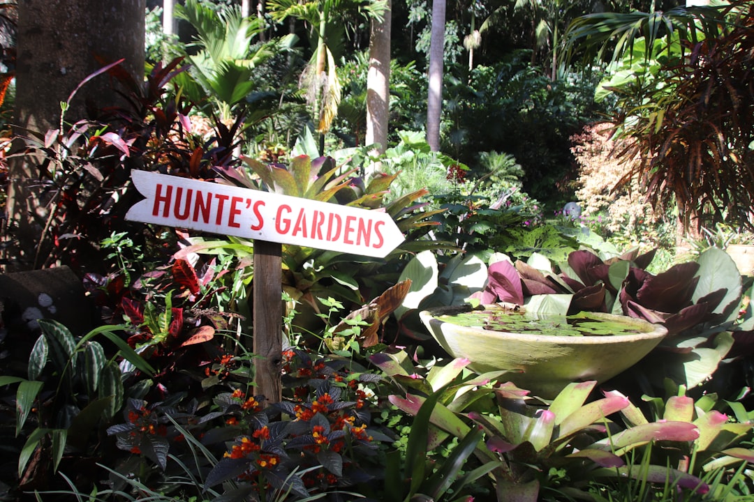 A Community Garden Contains Five Types of Plants: Discover the ...