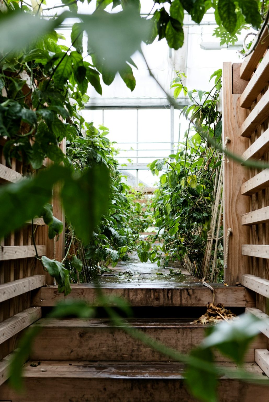 How to Build a Vertical Garden Indoors: Expert Guide - Garden