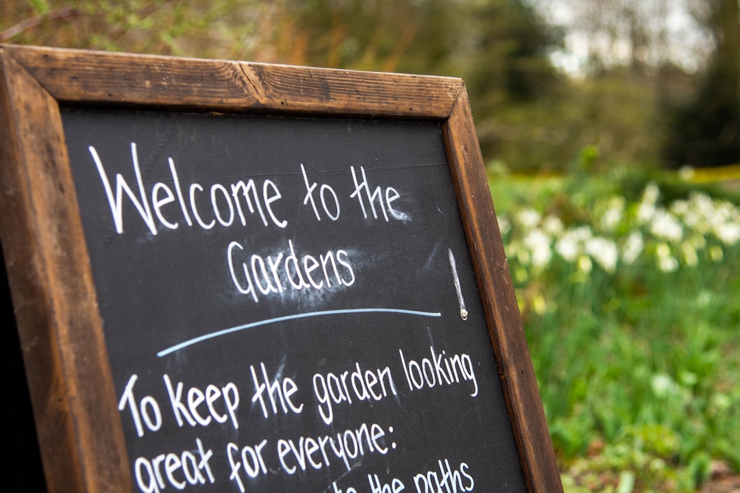 What Makes a Good Garden Designer: Key Traits Revealed - Garden